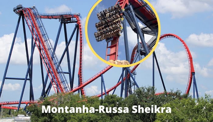 Sheikra: montanha-russa radical no Busch Gardens Tampa