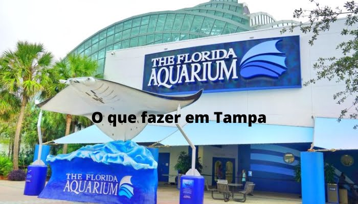 Tampa: dicas imperdíveis do fazer nesta cidade da Flórida